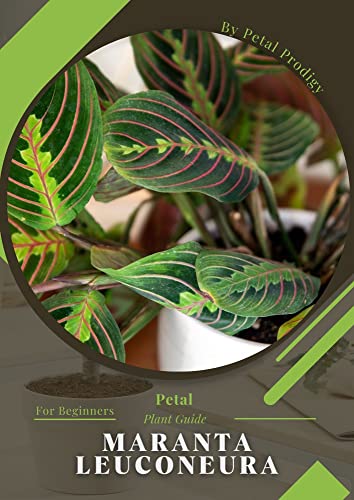 Maranta leuconeura: Prodigy Petal, Plant Guide eBook : Prodigy, Petal: Amazon.in: Kindle Store