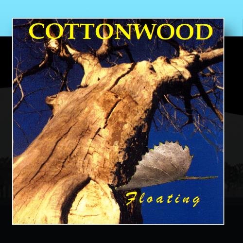 Amazon.com: Floating: CDs & Vinyl