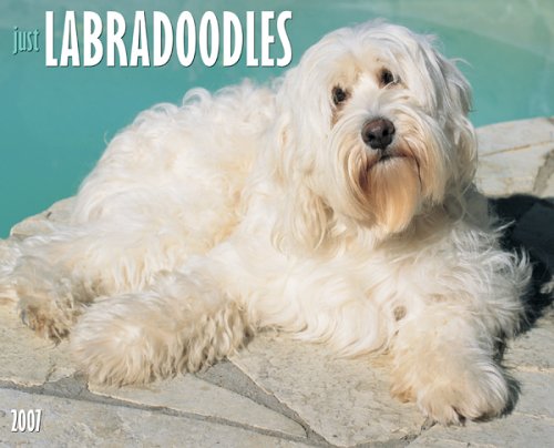 Just Labradoodles 2007 Calendar: 9781595433787: Amazon.com: Books