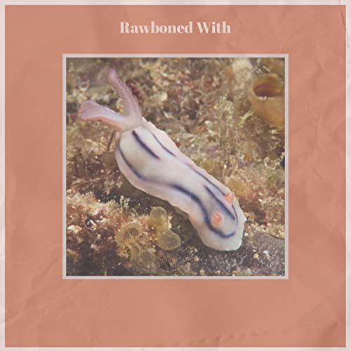 Amazon Music Unlimited - VARIOUS ARTISTS 『Rawboned With』