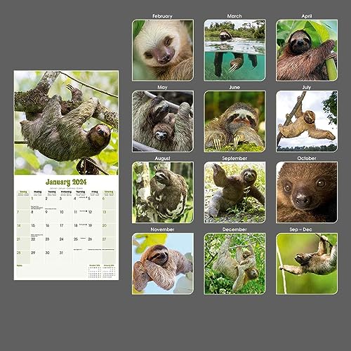 Snapklik.com : 2023 2024 Sloths - African Wildlife Monthly Wall ...