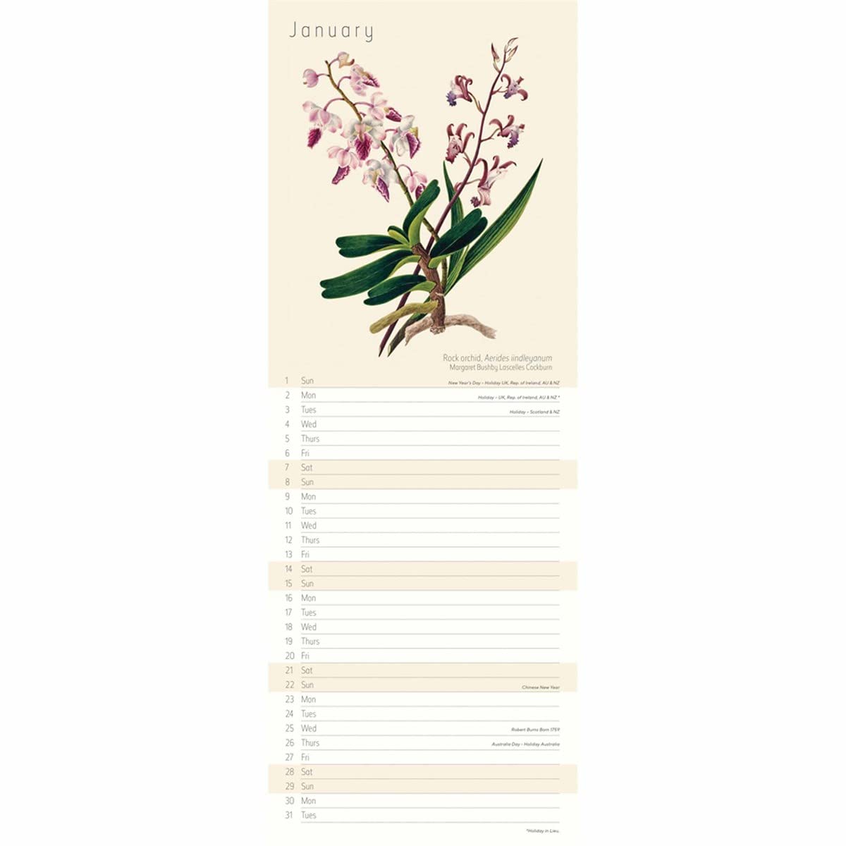 Wall Calendars 2023 by Portico Designs (NHM Botanical Slim Calendar ...