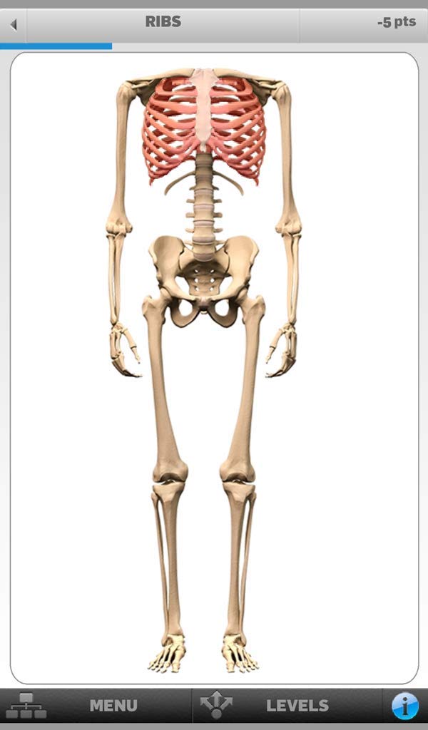 SKELETAL ANATOMY GAME LITE - App on Amazon Appstore