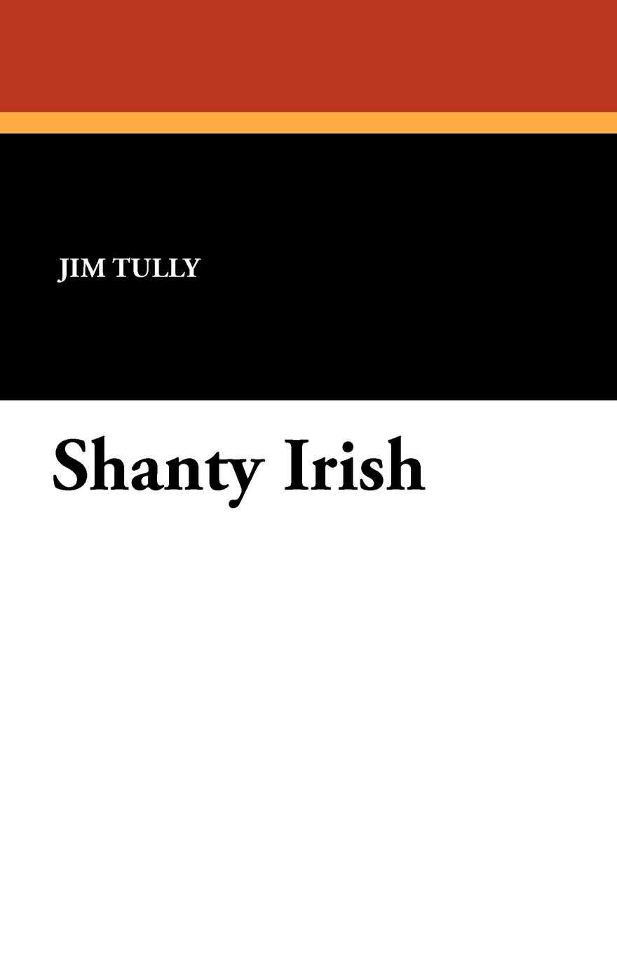 Shanty Irish: Tully, Jim: 9781434415271: Amazon.com: Books
