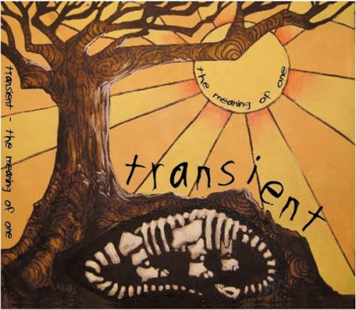 Transient, Transient - Meaning of One - Amazon.com Music
