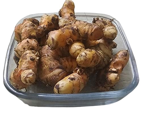 Adharvya Turmeric Haldi Root & Seed 500Gm | Kitchen Food Turmeric for ...