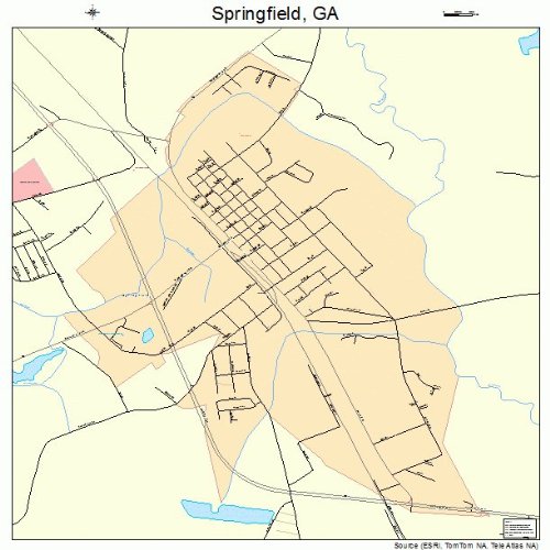 Amazon.com : Large Street & Road Map of Springfield, Georgia GA ...