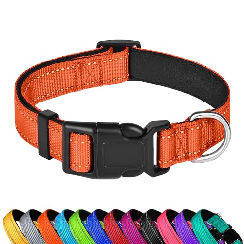Reflective Dog Collars – The 15 best products compared - Wild Explained