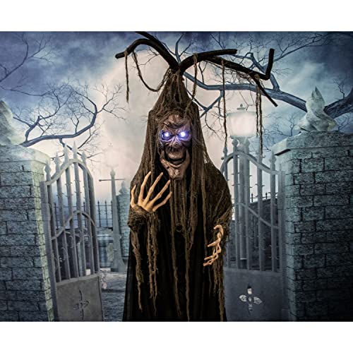 Mejores ofertas e historial de precios de Haunted Hill Farm Life-Size ...