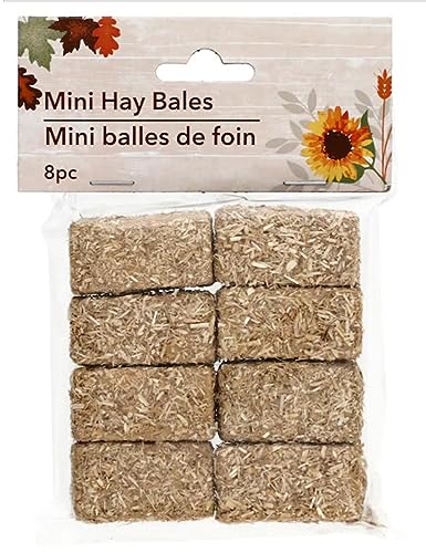 10 Best Mini Hay Bales for Your Next DIY Project! - Furry Folly