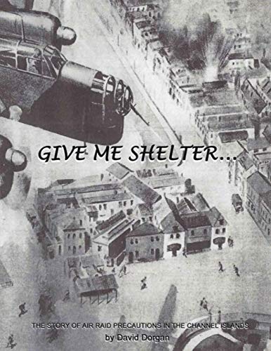 Give Me Shelter: Dorgan, Mr David: 9781720290841: Amazon.com: Books
