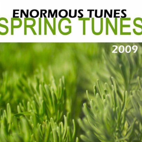 Amazon.com: Spring Tunes 2009 : VARIOUS ARTISTS: Digital Music
