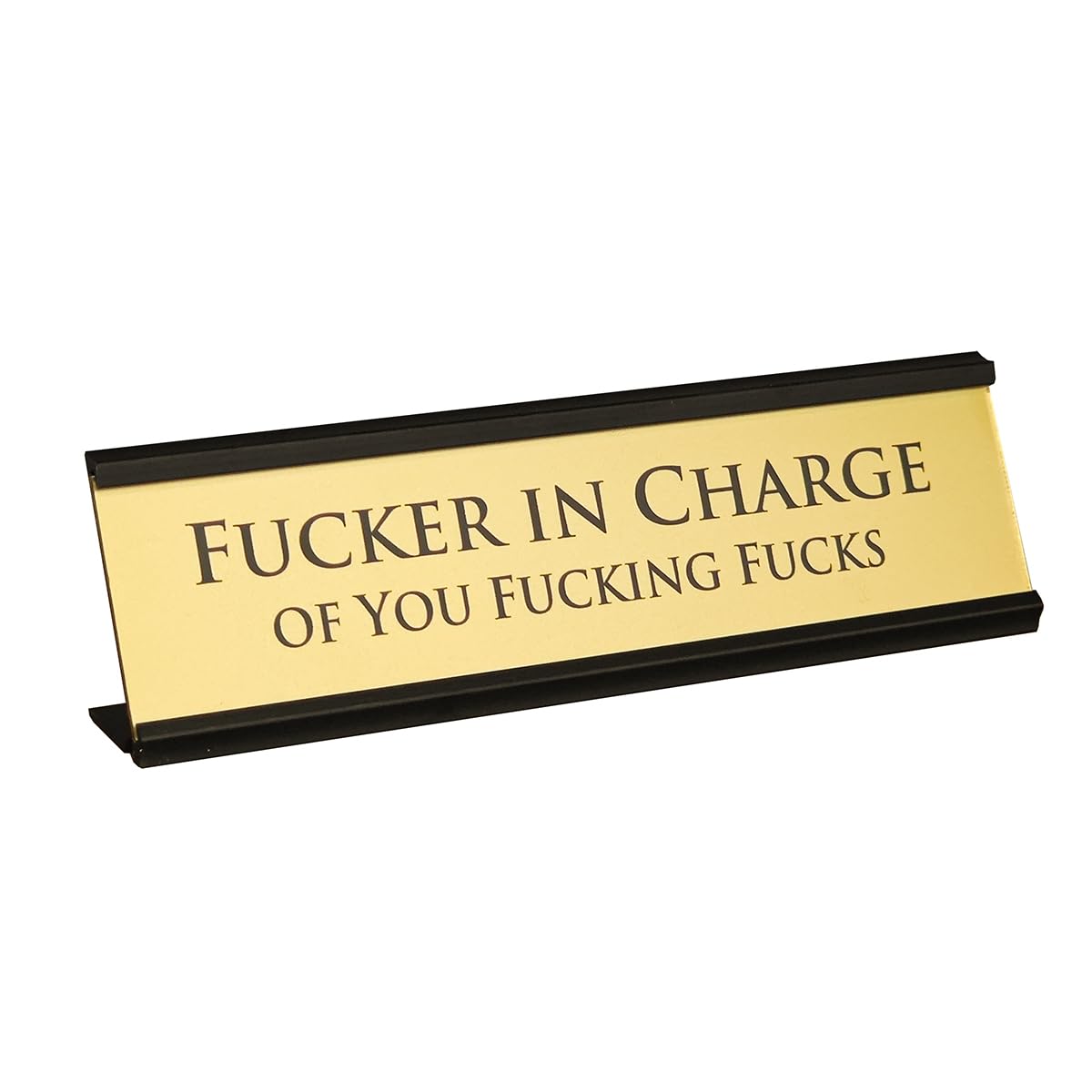 Amazon.com: Fucker in Charge of You Fucking Fucks Office Desk Plate ...