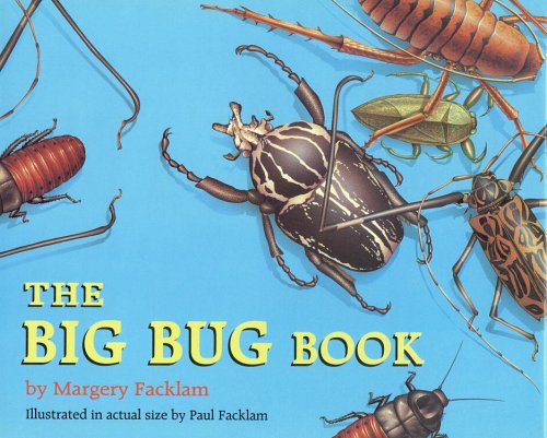 The Big Bug Book: Facklam, Margery, Facklam, Paul: 9780316273893 ...