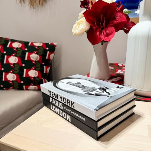 Amazon.com: Fake Books for Decoration,Set of 3 Stylish Fake Book Decor ...