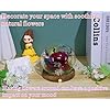 Amazon.com: Valley of Rain & Forest Long-Lasting Real Flowers, Unique ...