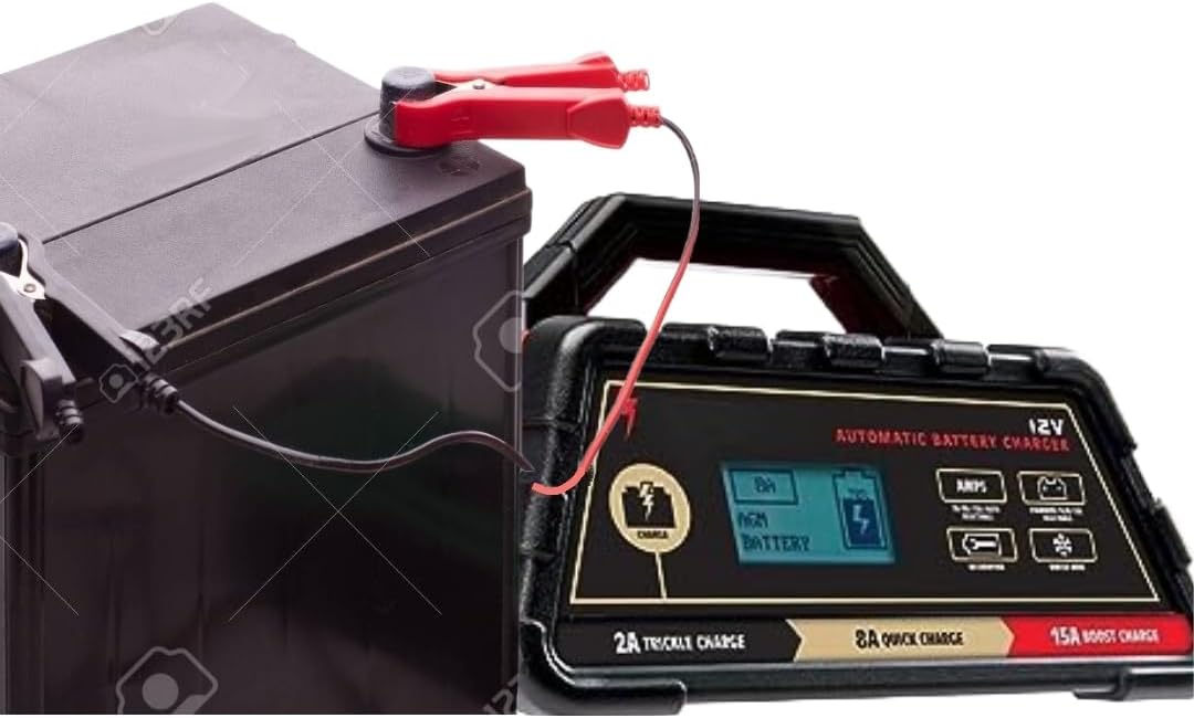 Amazon.com: Viking 4 Amp Fully Automatic Microprocessor-Controlled ...