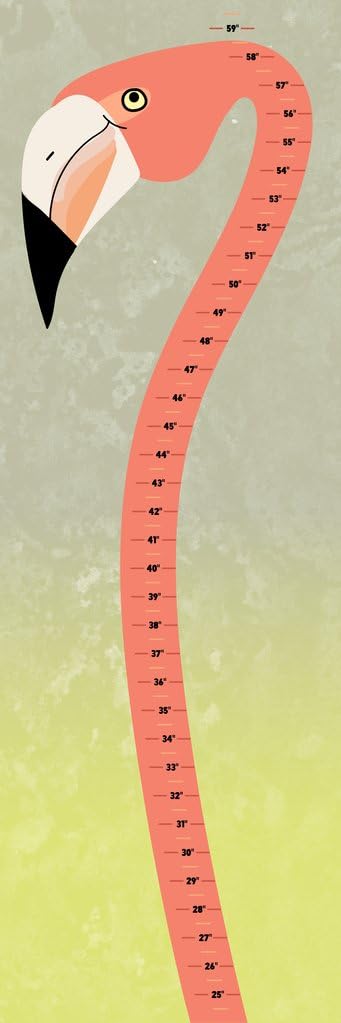 Amazon.com: Flamingo Kids Height Growth Chart Cool Wall Art Print ...