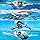 Snorkeling Gear for Adults, Snorkel Set Scuba Diving mask Dry-Top ...