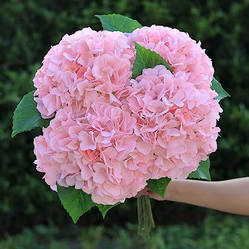 Light Pink Hydrangea Centerpieces