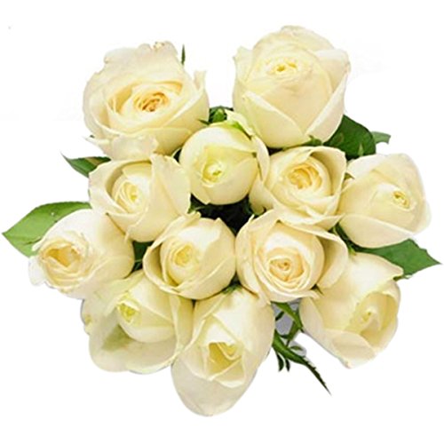 FloraZone (Charming White) Fresh 12 White Roses Bouquet : Amazon.in ...