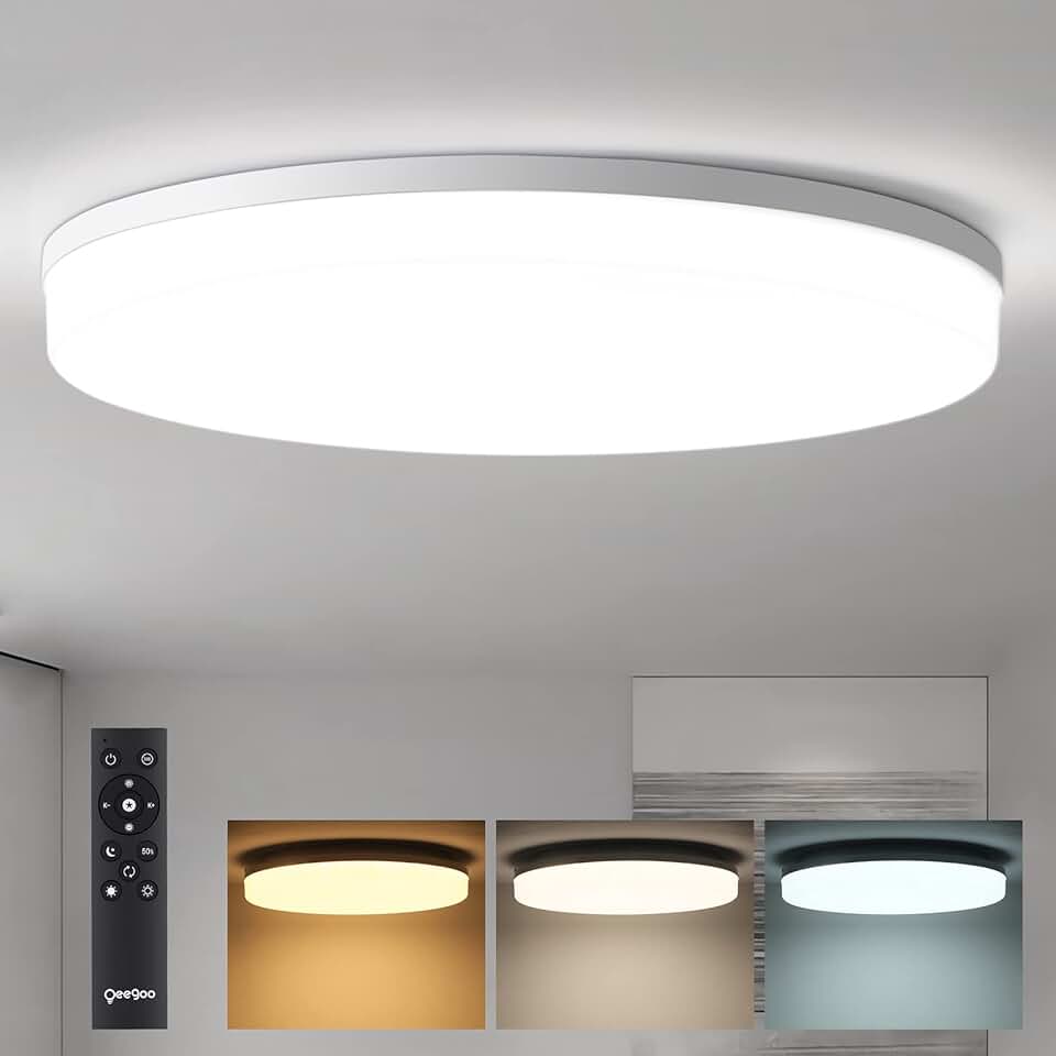 Amazon.com: Remote Controlled Ceiling Light Fixture