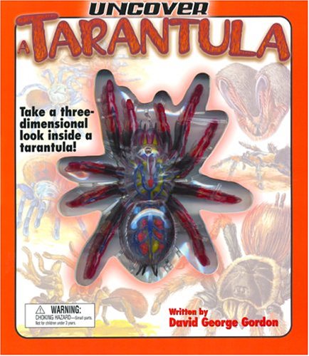 Uncover a Tarantula: Take a Three-Dimensional Look Inside a Tarantula ...
