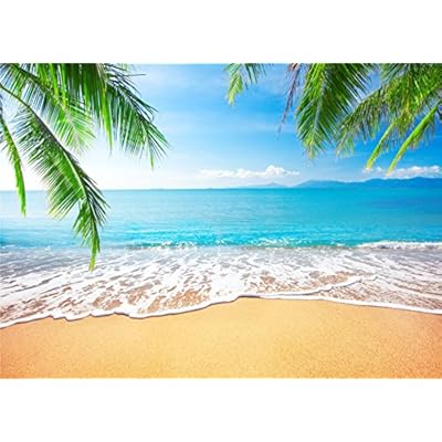 Beach Scene Banners For Websites