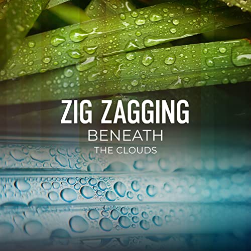 Zig Zagging Beneath The Clouds von Lightning, Thunder and Rain Storm ...