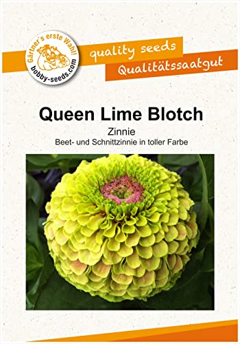 Queen Seeds – Die 16 besten Produkte im Vergleich & Angebote ...