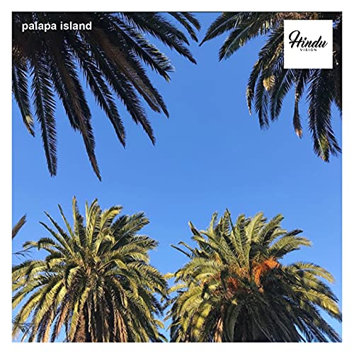 Amazon.com: Palapa Island : VARIOUS ARTISTS: Digital Music