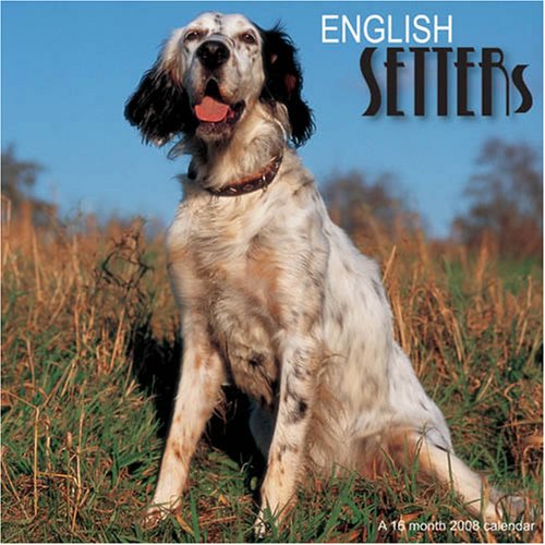 English Setters 2008 Wall Calendar: Magnum Publications: 9781602540613 ...