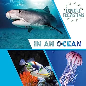Explore Ecosystems: In an Ocean | Amazon.com.br