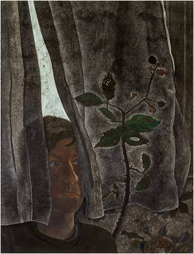 Lucian Freud: Drawings: Selected by William Feaver : Feaver, William ...