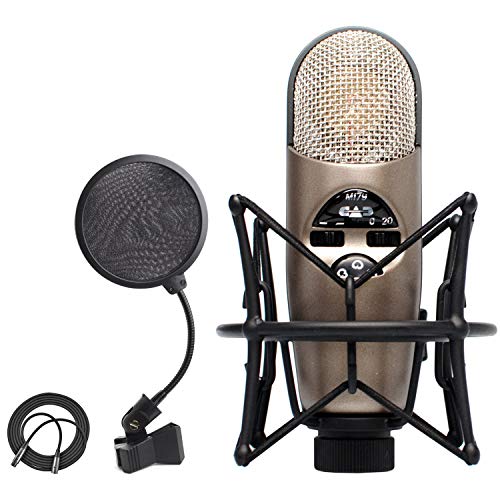 CAD Audio M179 Variable-Pattern Condenser Microphone with Shockmount ...