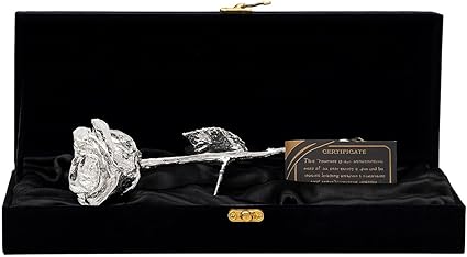Amazon.com: Eternal Rose Silver-Dipped Real Rose, 11 Inch Preserved ...