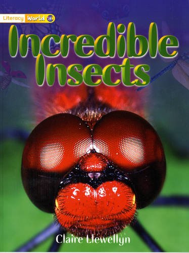 Literacy World Non-fiction Stage 1: Incredible Insects: 9780435096519 ...