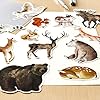 Amazon.com: Recollections Woodland Animals Die Cut Stickers