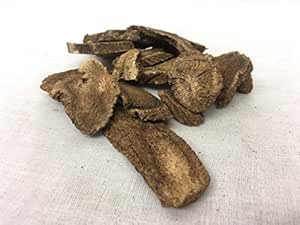 Amazon.com : Costustroot | Vladimiria souliei (Franch.) Ling Root | Mu ...