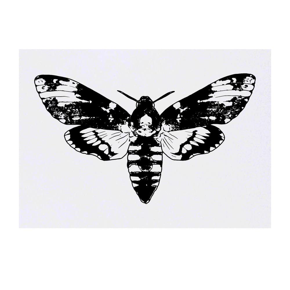 Death Hawk Moth Tattoos Tomsmithtattoo Death's Head Hawk Moth Today,