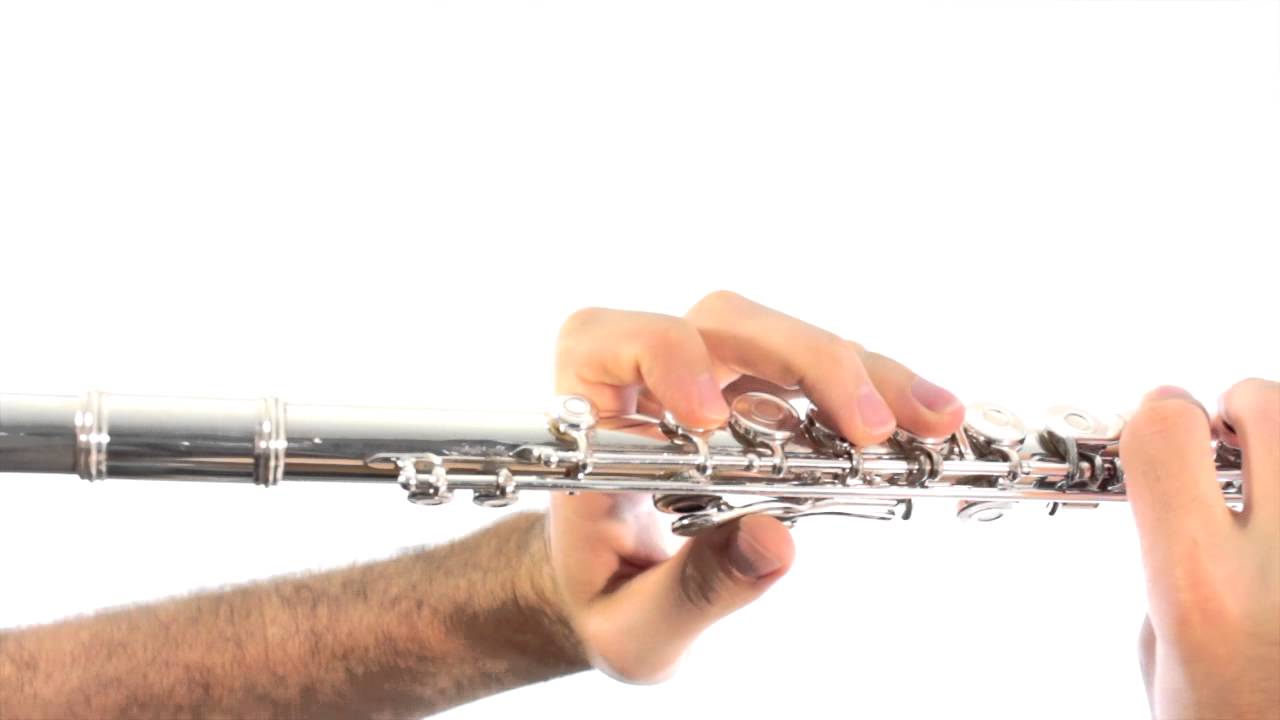 Flute Learning Lessons - App on Amazon Appstore