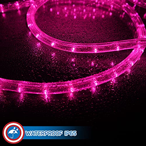 Pink Rope Lights - 30 feet - Festival Of Lights