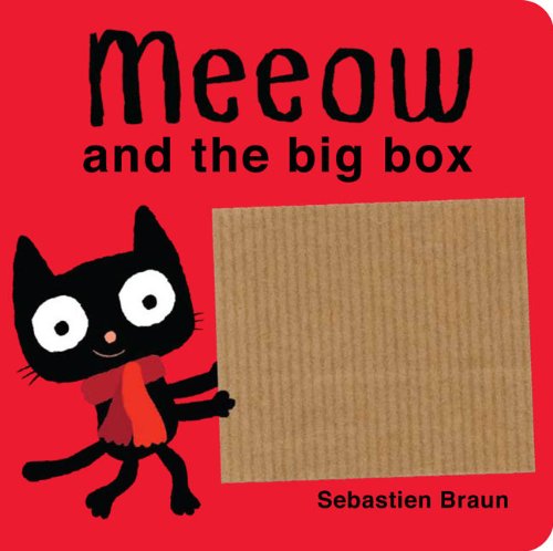 Meeow and the Big Box: Braun, Sebastien: 9781907152887: Amazon.com: Books