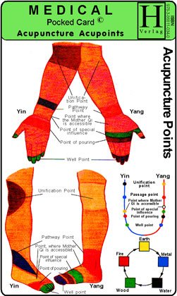 Acupuncture - Acupoints - Medical Pocket Card: Hawelka: 9783868110340 ...