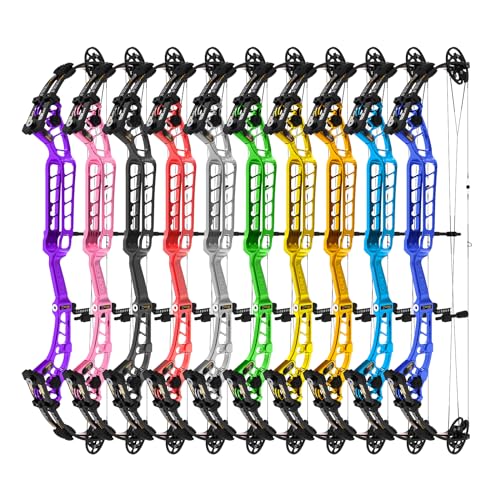 Sanlida Archery 40 Hero 10 Ⅱ Flagship Compound Bow Kit with Accessories ...