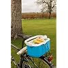 Curver- Coolbox - Blue : Amazon.co.uk: Sports & Outdoors