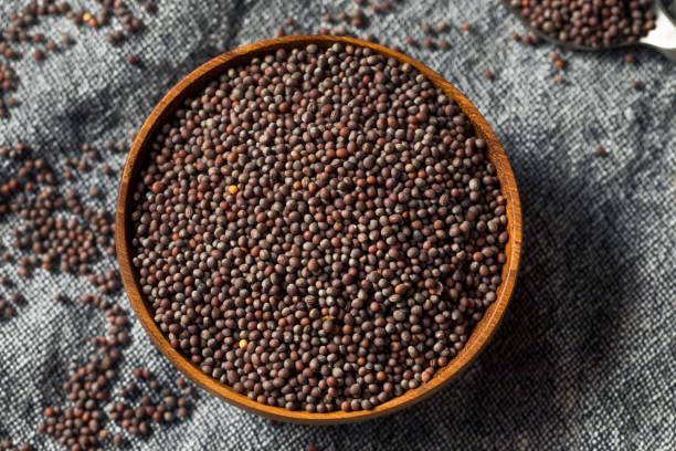 Farm Fresh Premium Black Mustard Seeds | Kaali Sarso | Big Mustard ...