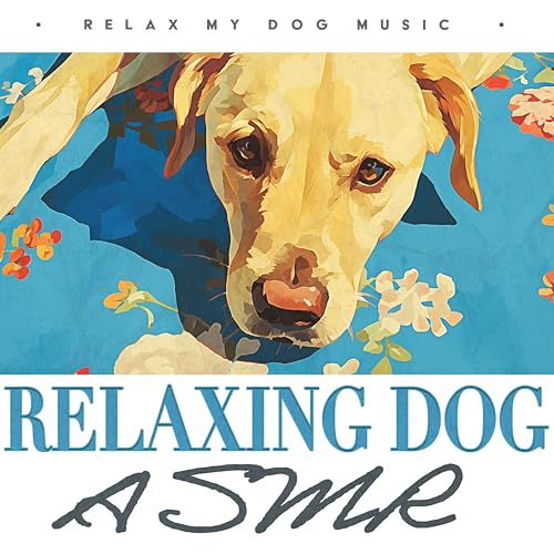 Play Relaxing Dog ASMR by Relax My Dog Music on Amazon Music