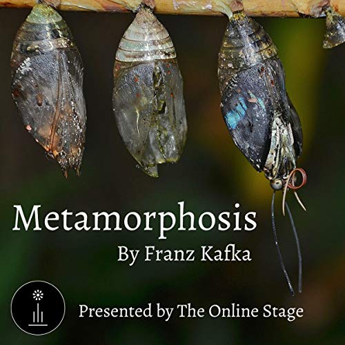 Amazon.com: Metamorphosis (Audible Audio Edition): Franz Kafka, Leanne ...