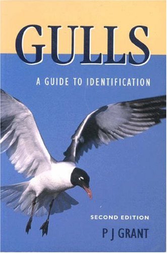 Gulls: A Guide to Identification - Second Edition: Grant, Peter J ...